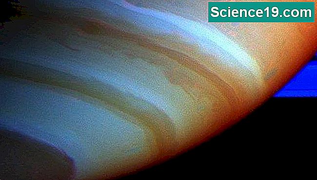 Una descripción de Saturno 💫 Portal Multimedia Científica Y Popular. 2025