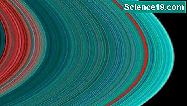 Una descripción de Saturno 💫 Portal Multimedia Científica Y Popular. 2025