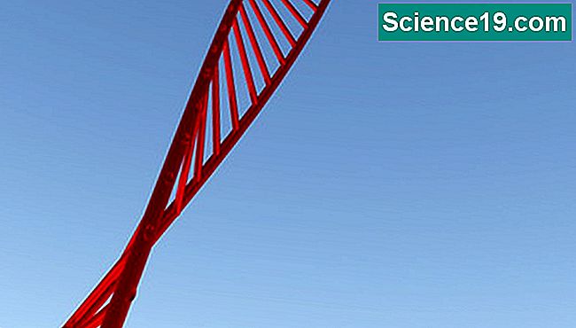 Was Ist Histon Acetylierung Wissenschaftliches Und Beliebtes was-ist-histon-acetylierung-wissenschaftliches-und-beliebtes