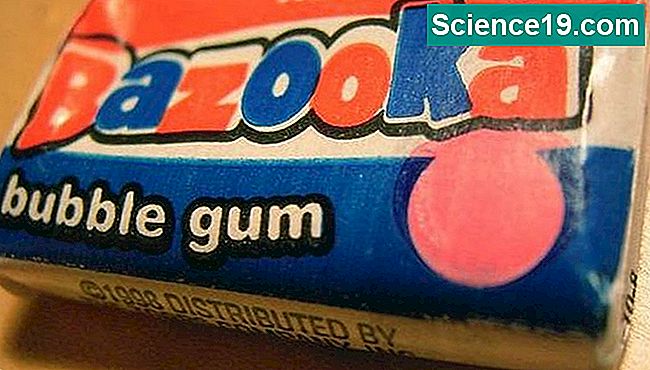 ¿Cómo funciona el chicle? 💫 Portal Multimedia Científica Y Popular. 2025