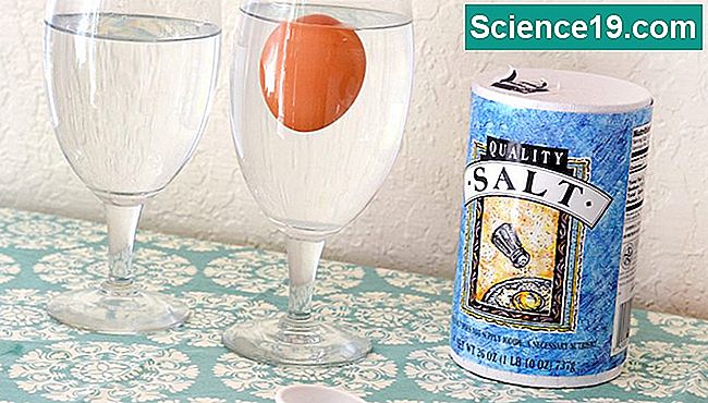 Wie macht Salzwasser ein Ei Float? 💫 Wissenschaftliches Und Beliebtes ...