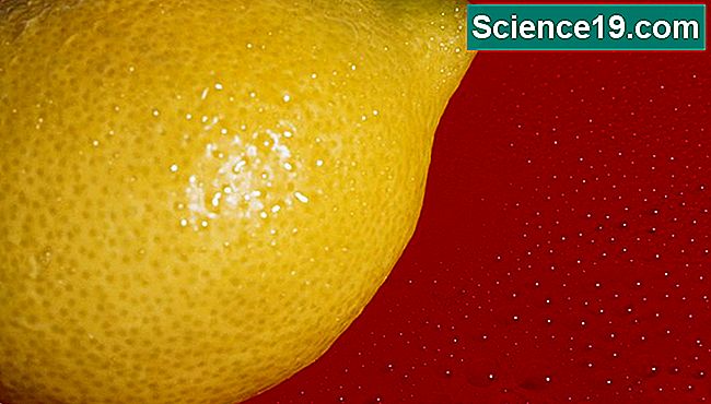 Cómo calcular el pH del jugo de limón 💫 Portal Multimedia Científica Y ...