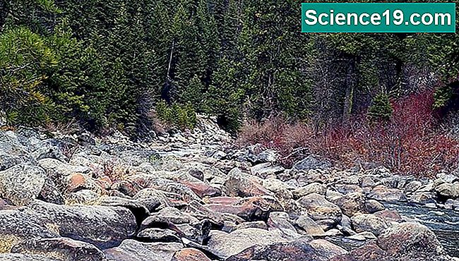 ¿Cómo se forman las rocas del río? 💫 Portal Multimedia Científica Y ...