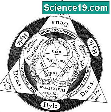 Cómo calcular el área de un óvalo 💫 Portal Multimedia Científica Y ...