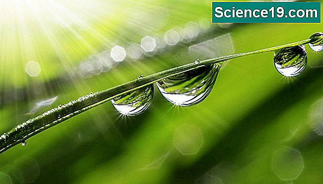 Come spiegare il processo di condensazione 💫 Portale Scientifico E ...