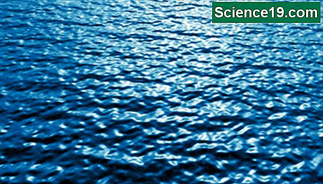 Liste des écosystèmes océaniques 💫 Portail Multimédia Scientifique Et ...