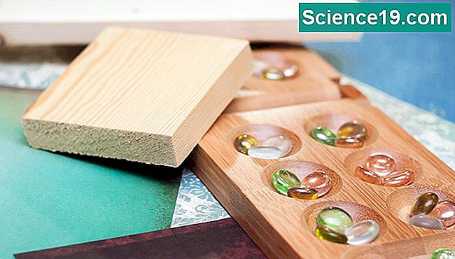 Comment mesurer la densité du bois 💫 Portail Multimédia Scientifique Et ...
