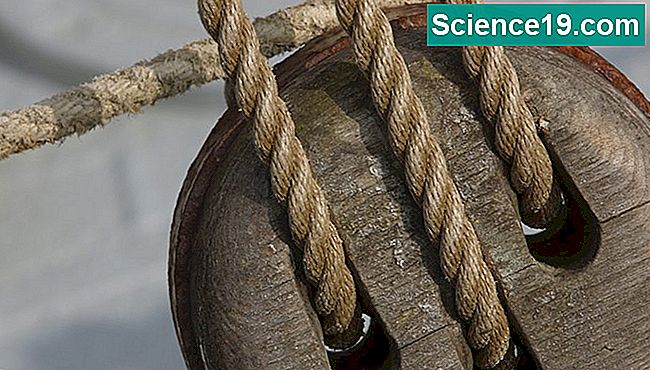La physique des systèmes de poulies 💫 Portail Multimédia Scientifique ...