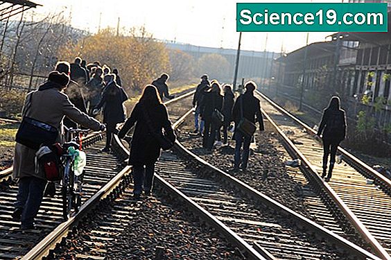 Forskel mellem en vedvarende og genanvendelig ressource 💫 Videnskabelig ... Forskel mellem en vedvarende og genanvendelig ressource 💫 Videnskabelig ...