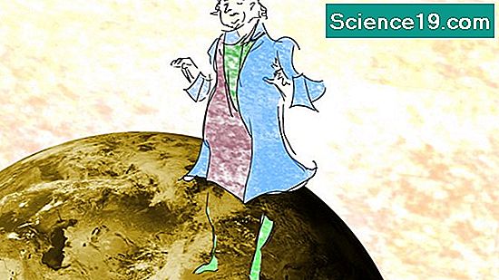 Welche Teile Bilden Das Menschliche Bein 💫 Wissenschaftliches Und Beliebtes Multimedia Portal 2025