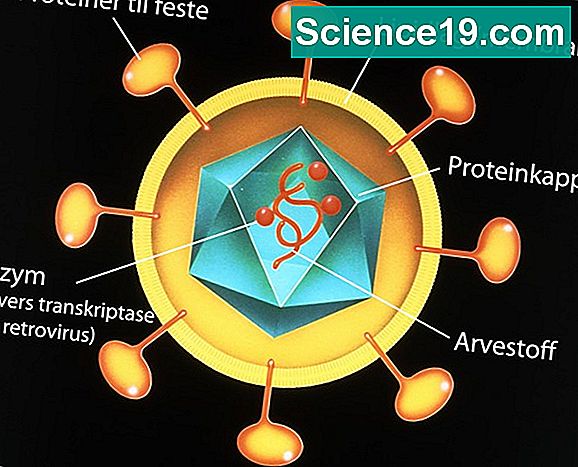 Wie Man Nanometer In Joule Umwandelt Wissenschaftliches Und Beliebtes wie-man-nanometer-in-joule-umwandelt-wissenschaftliches-und-beliebtes