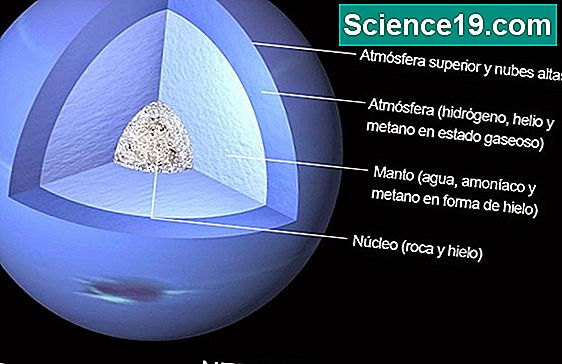 Estructura interna de Neptuno 💫 Portal Multimedia Científica Y Popular ...