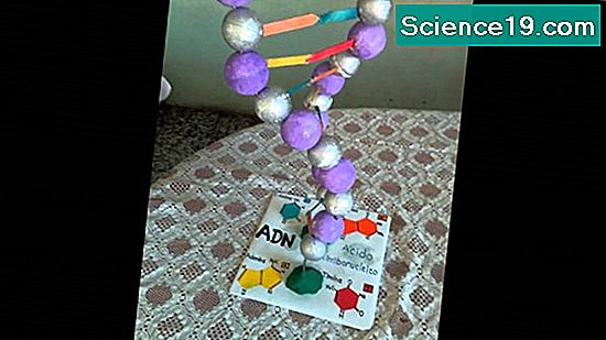 Cómo hacer un modelo de ARN y ADN 💫 Portal Multimedia Científica Y ...