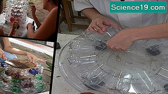 Ideas para un proyecto de feria de ciencias de protección solar 💫 ...