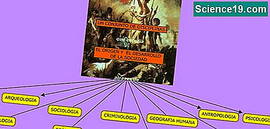 ¿Cuáles son las cinco subdivisiones de los reinos? 💫 Portal Multimedia ...