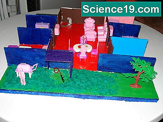 Proyectos de la Feria de Ciencias de Coca Cola 💫 Portal Multimedia ...