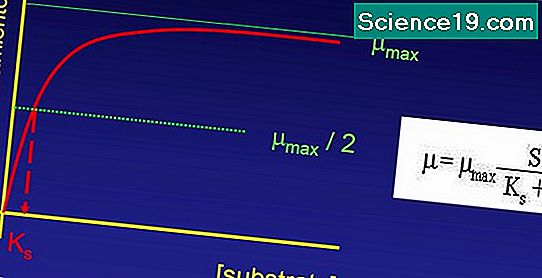 Cómo calcular la mitad de una curva parabólica 💫 Portal Multimedia ...