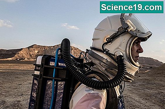Cómo configurar un experimento de ciencia controlada 💫 Portal ...