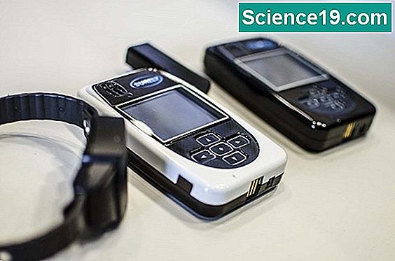 ¿Cómo funciona un transmisor de GPS en el estudio de movimientos de ...
