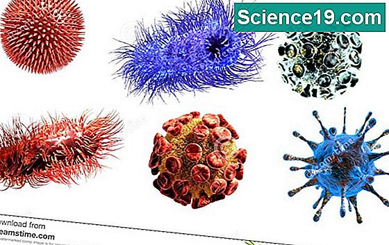¿De dónde vienen los virus comunes del resfriado? 💫 Portal Multimedia ...