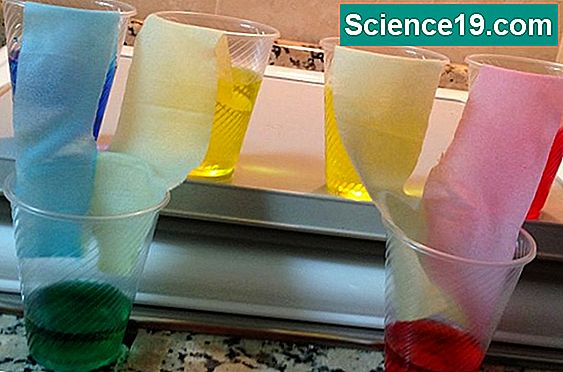 Experimentos Divertidos De Ciencia Para Adultos Portal Multimedia Cient fica Y Popular 2022 experimentos-divertidos-de-ciencia-para-adultos-portal-multimedia-cient-fica-y-popular-2022