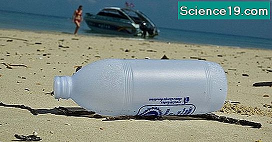 ¿Cuáles son las materias primas de las botellas de plástico? 💫 Portal ...