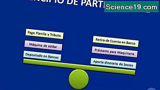 ¿Qué es una balanza de balance doble? 💫 Portal Multimedia Científica Y ...