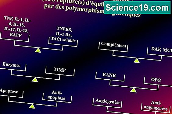 Quel est le rôle des enzymes dans le métabolisme? 💫 Portail Multimédia ... Quel est le rôle des enzymes dans le métabolisme? 💫 Portail Multimédia ...
