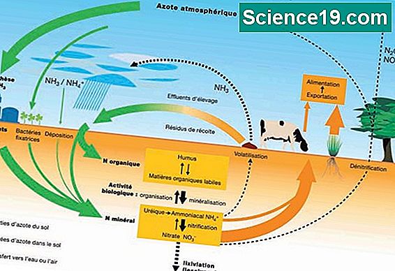 Éléments dans les combustibles fossiles 💫 Portail Multimédia ...