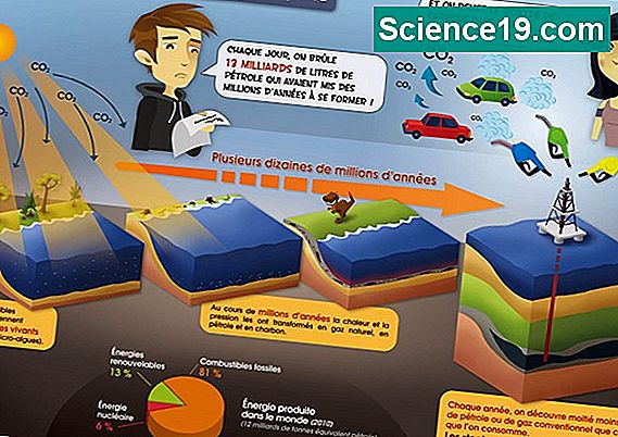 Comment le combustible fossile est-il converti en électricité? 💫 ...