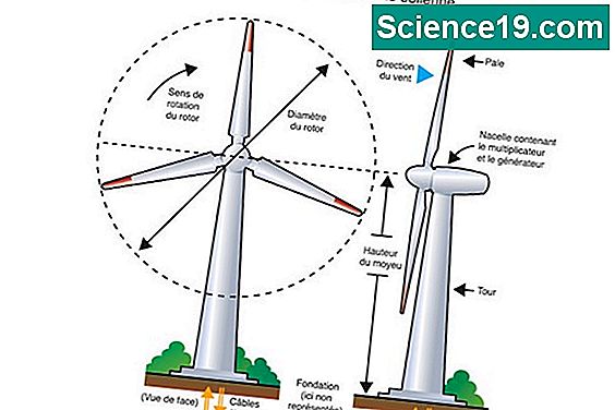 Comment faire une machine simple pour un projet scientifique 💫 Portail ...