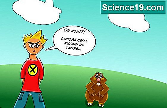 Qu'est-ce qu'une taupe? 💫 Portail Multimédia Scientifique Et Populaire ...