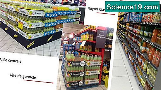 Différence entre les polymères linéaires et ramifiés 💫 Portail ...