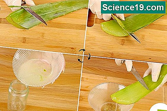 DIY: Gel d'électrode 💫 Portail Multimédia Scientifique Et Populaire. 2025