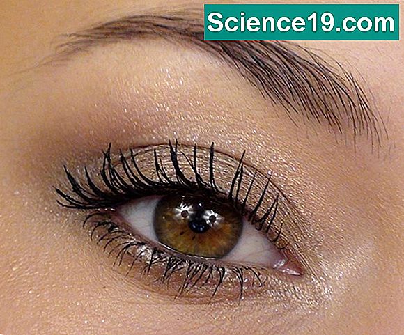 Comment Faire Une Fonction De Valeur Absolue Sur La TI 83 Plus Portail Multim dia Scientifique 