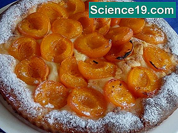 Anciennes levées et canaux sumériens 💫 Portail Multimédia Scientifique ...
