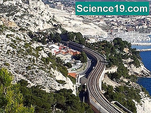Les étapes de la succession écologique 💫 Portail Multimédia ...