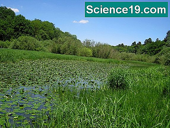 Quels sont deux habitats différents dans un écosystème de prairie? 💫 ...