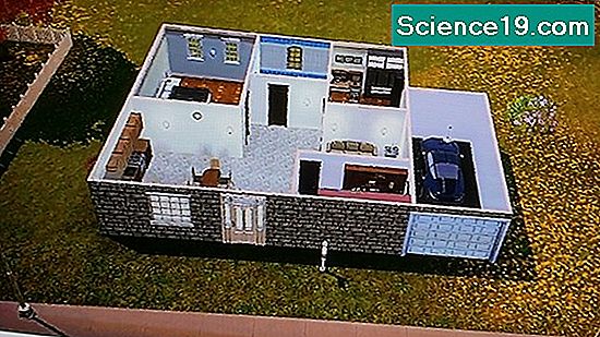 Come realizzare un Diorama a foresta decidua 💫 Portale Scientifico E ...